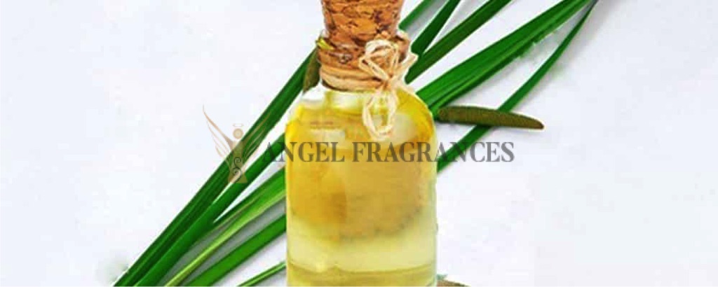 Calamus Natural Essential Oil Exporter and Provider